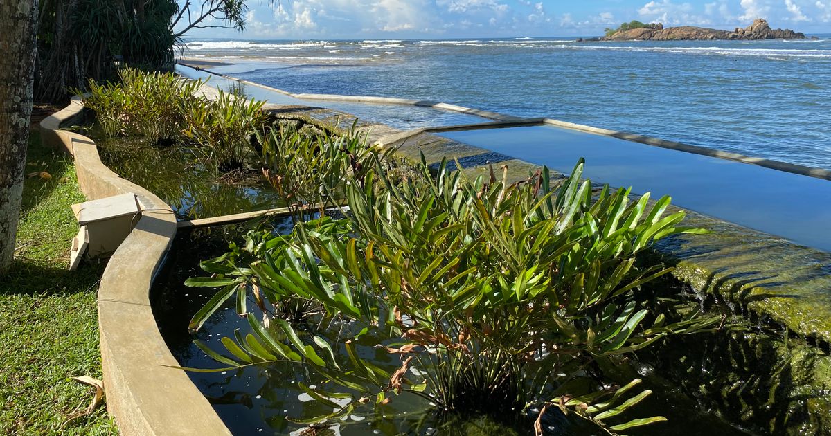 Barberyn Reef Ayurveda Resort i Beruwela – De bästa priserna!